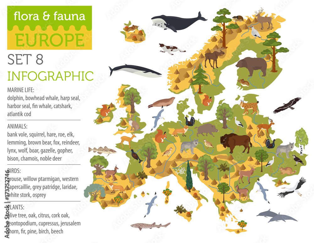 Flat European flora and fauna map constructor elements. Animals, birds ...
