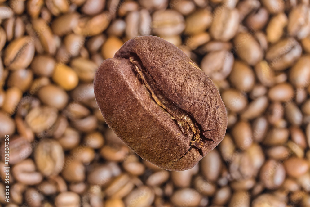 Single coffee bean close-up on a blurry background of coffee beans ...