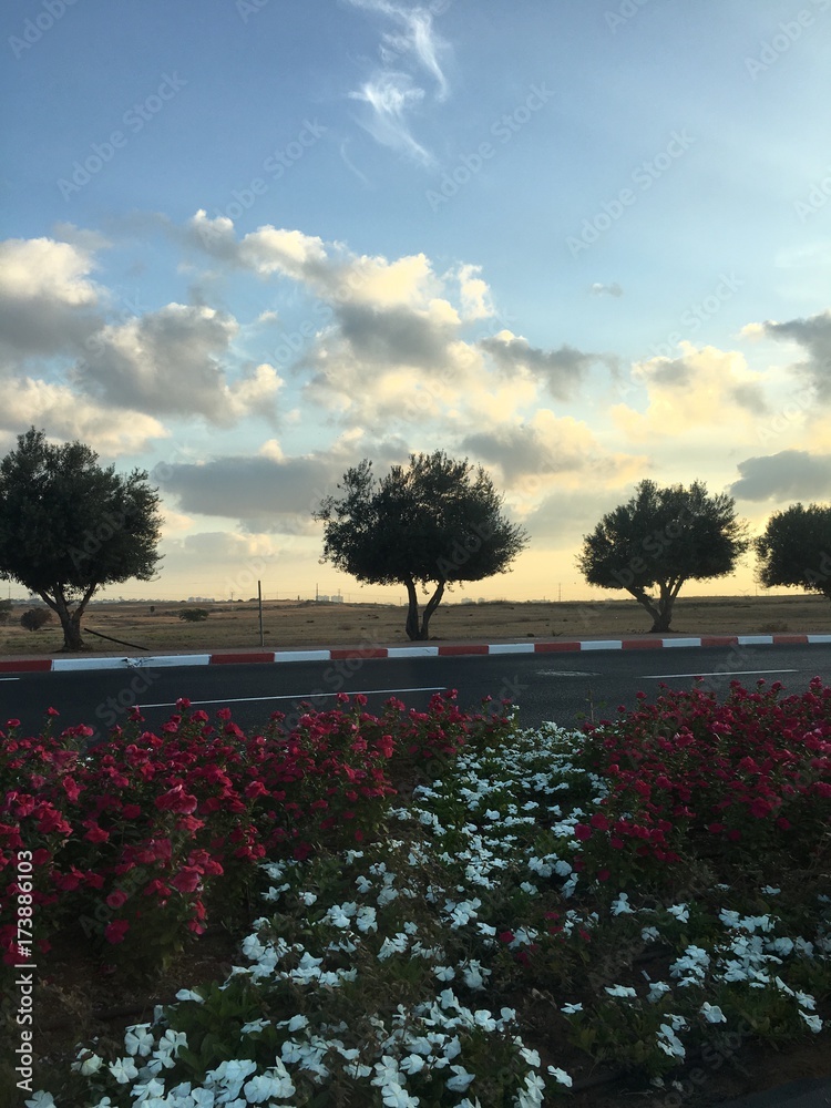 road view during sunset Stock Photo | Adobe Stock