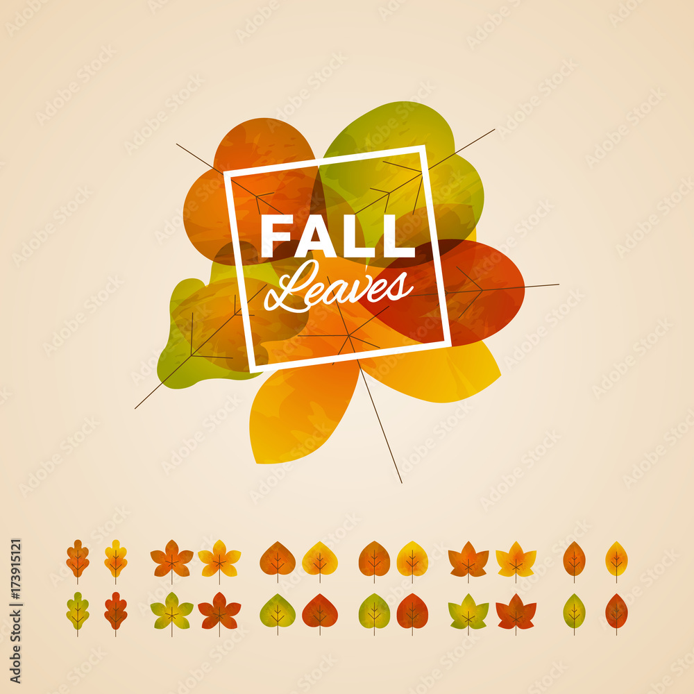 Six different types of fall leaves template. Each type has four ...