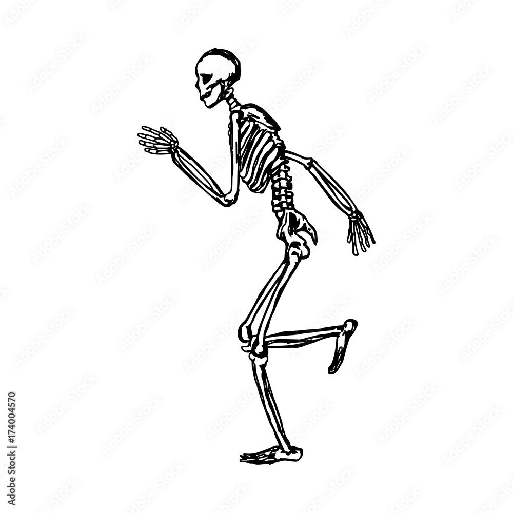 human skeleton running vector illustration sketch hand drawn with black ...