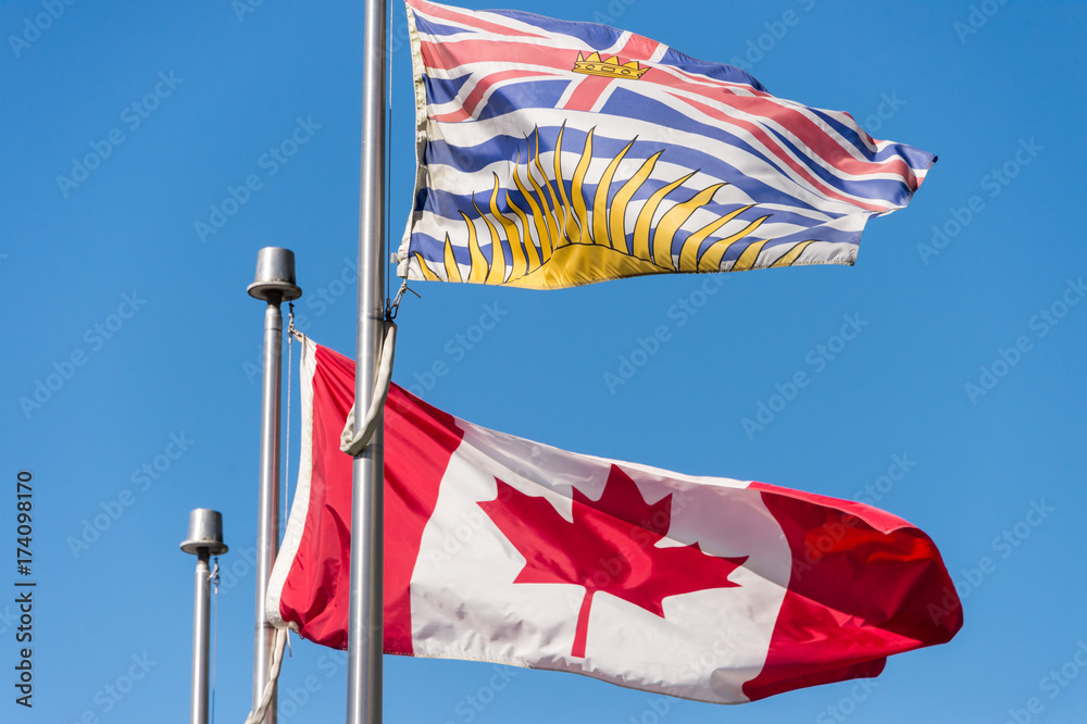 Bc Flag Waving