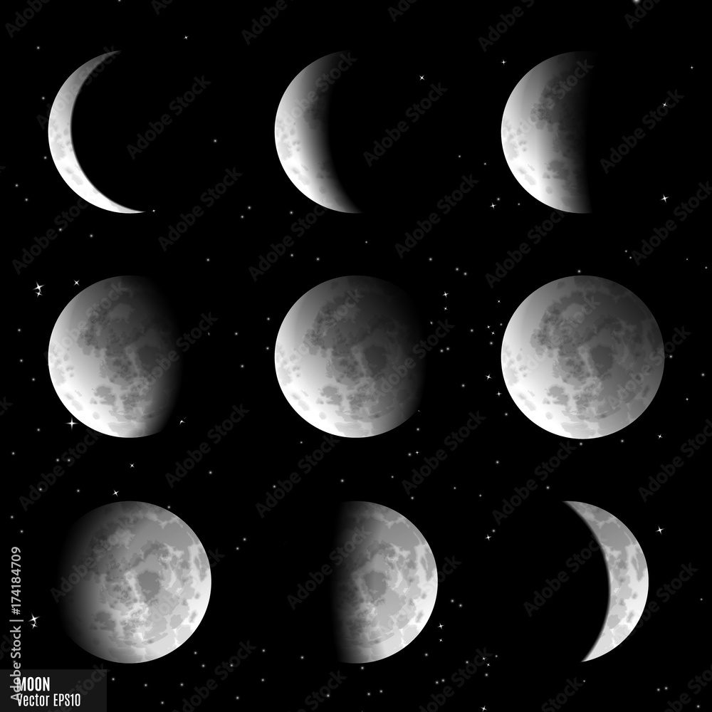 Photo & Art Print Vector set of moon phases, leezarius