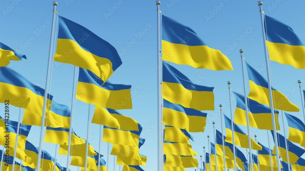 Many Ukraine flags in rows against clear blue sky. Three dimensional ...