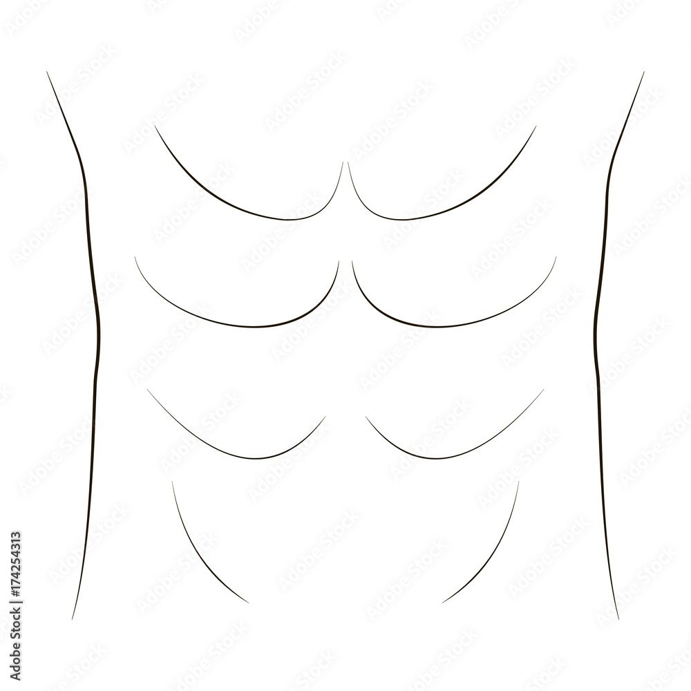 belly press bodybuilder, vector drawing abdominal and groin muscles ...