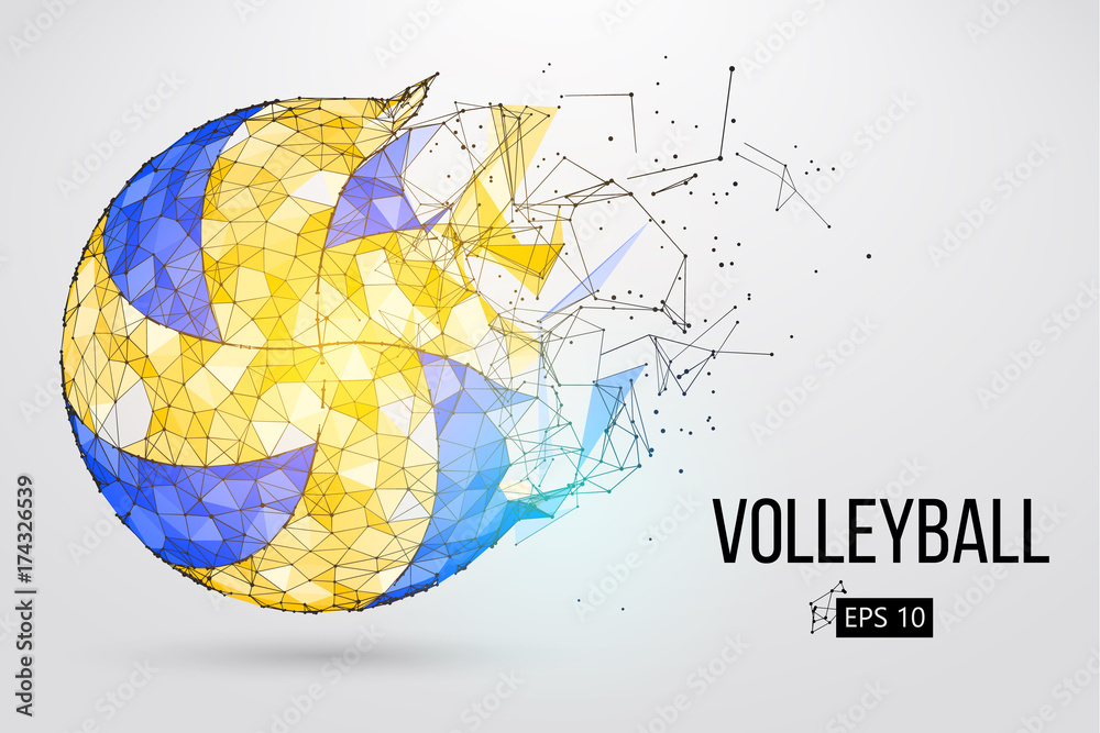 Silhouette of a volleyball ball. Dots, lines, triangles, text, color ...
