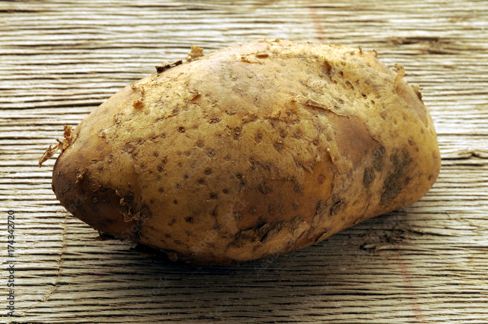 Solanum tuberosum Patata Kartoffel Potato Krompir Πατάτα 马铃薯 Khoai tây ...