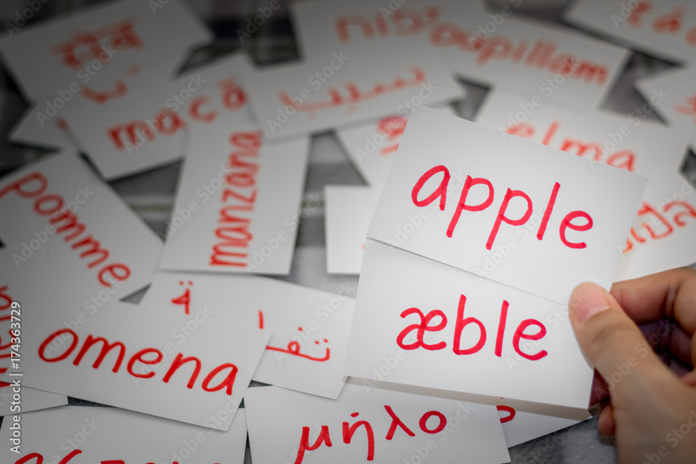 Danish and English; Learning New Language with Handwritten Flash Cards ...