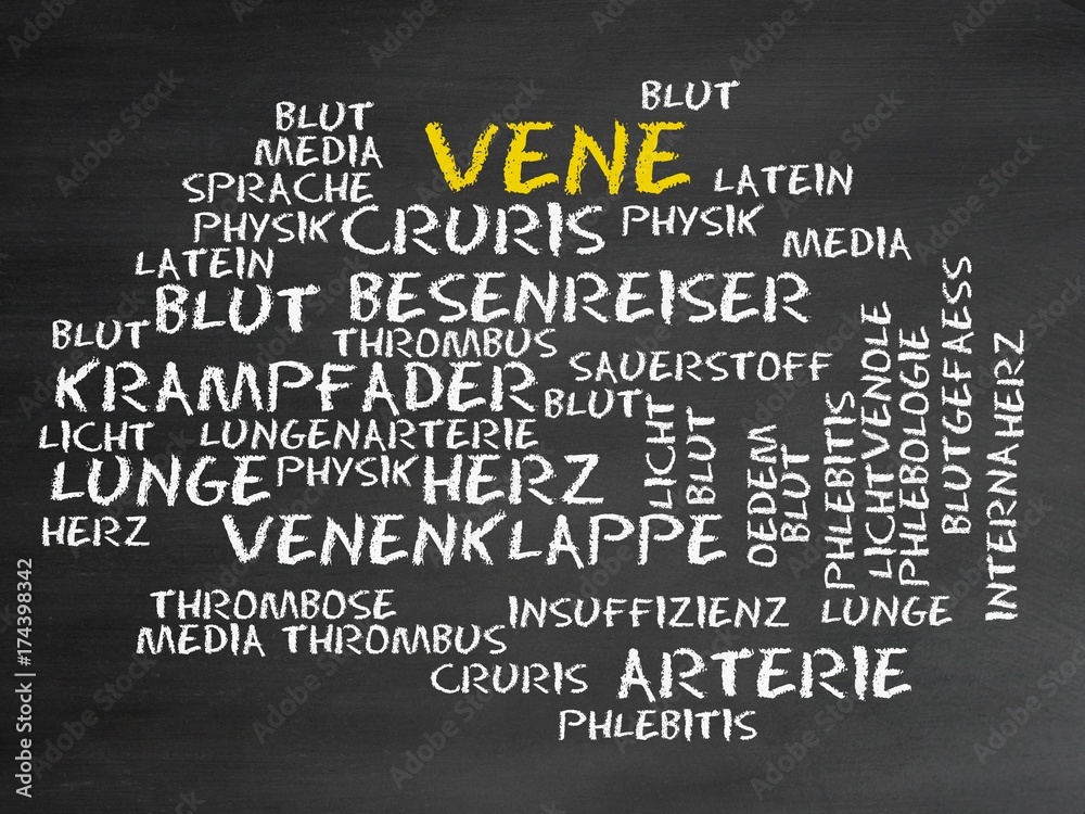 Vene Stock Illustration | Adobe Stock