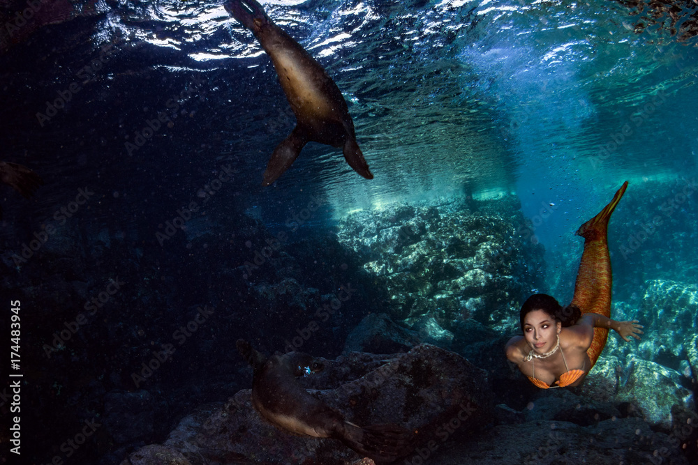 Mermaid swimming underwater in the deep blue sea with a seal Stock ...