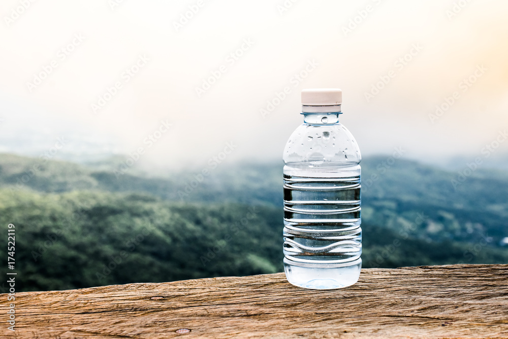 Mountain Water Bottle Logo