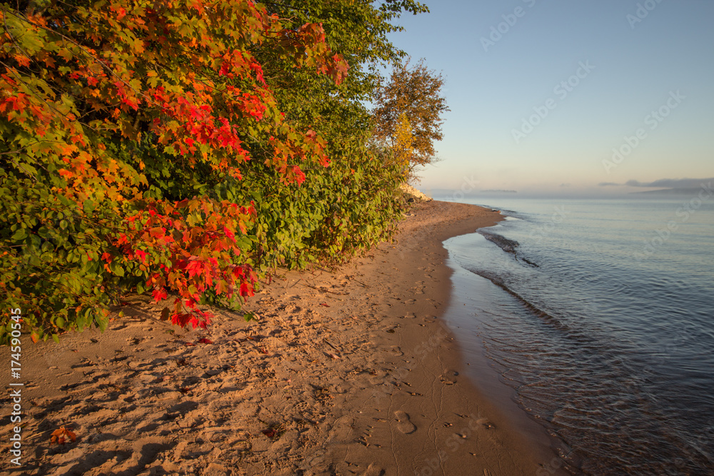 Autumn Lake Shore Background. Sandy beach framed by vibrant fall ...