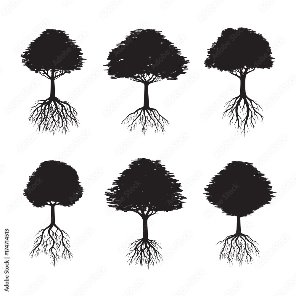 Set of Black Trees with Roots. Vector Illustration. Stock Vector ...
