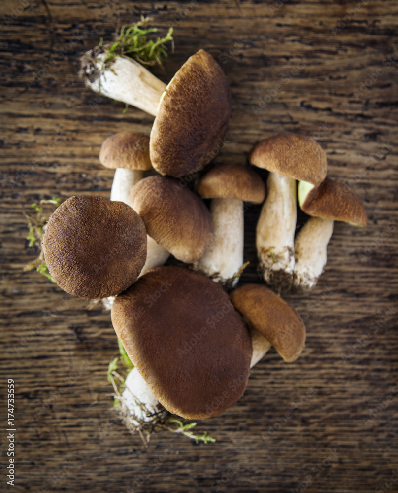 Pilze, Steinpilz, essbar, essen, marone, pfifferling, pilze, pilze ...