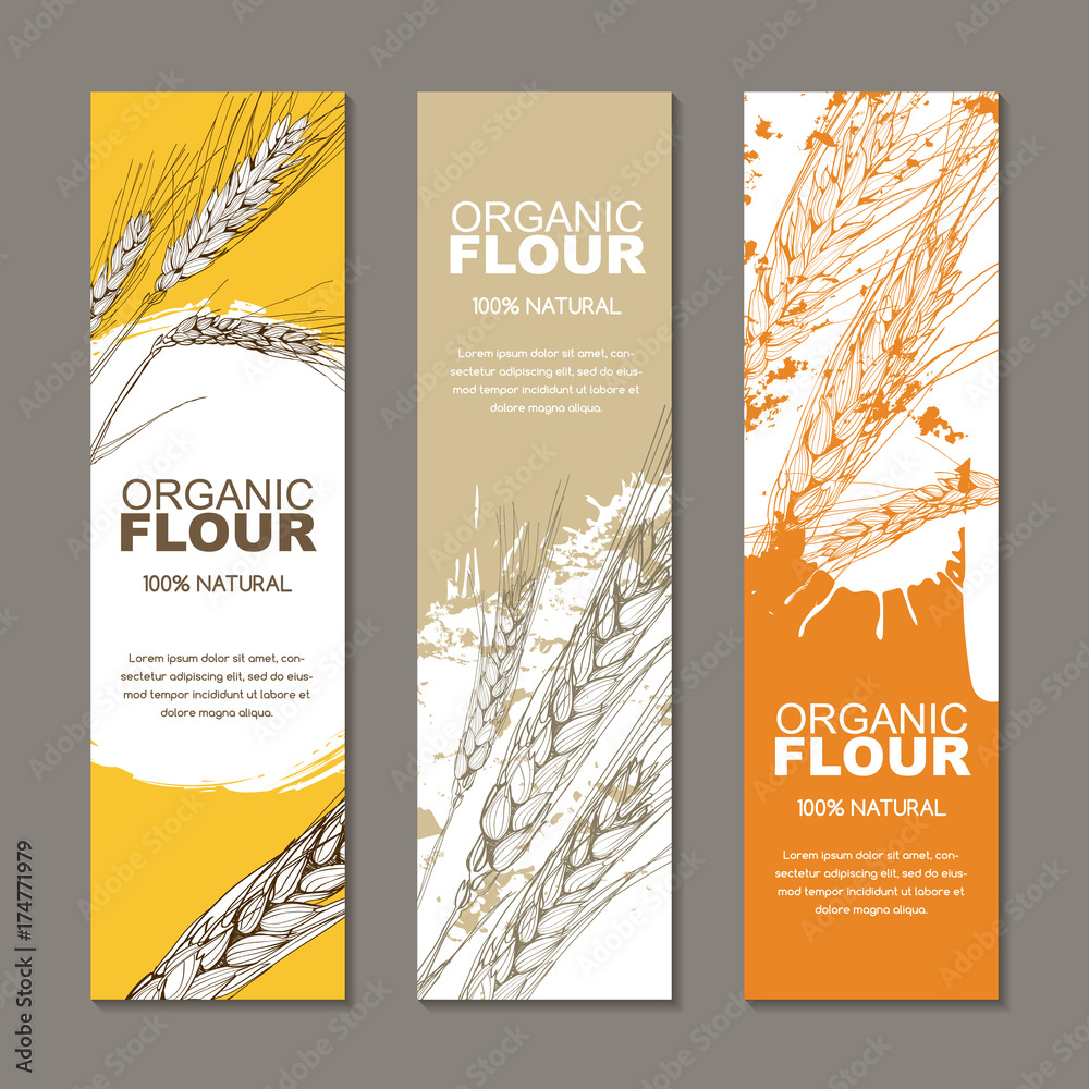 Set of vector backgrounds for label, package. Sketch hand drawn ...