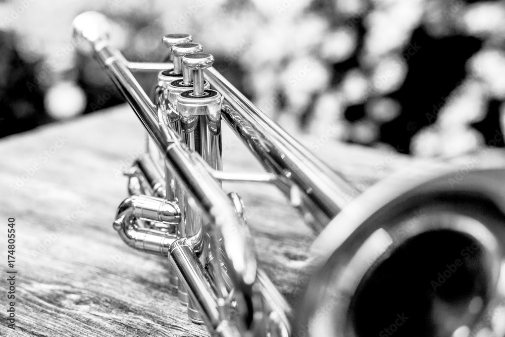 Trumpet in black and white Stock Photo | Adobe Stock