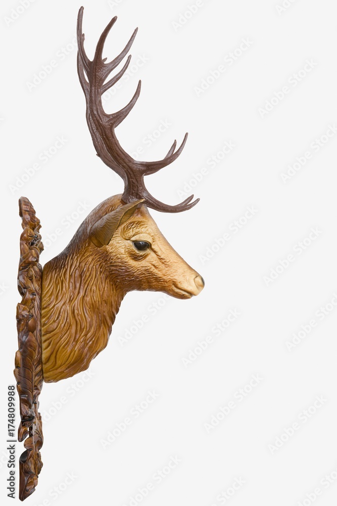 Deer Face Profile