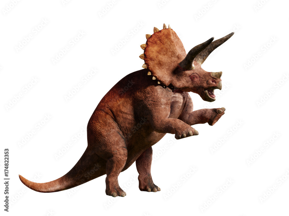 Triceratops horridus, Ceratops dinosaur of the late Cretaceous period ...
