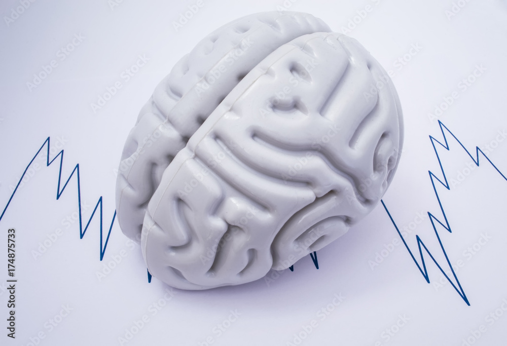 The figure of the human brain lies on sheet of paper, where the drawn ...