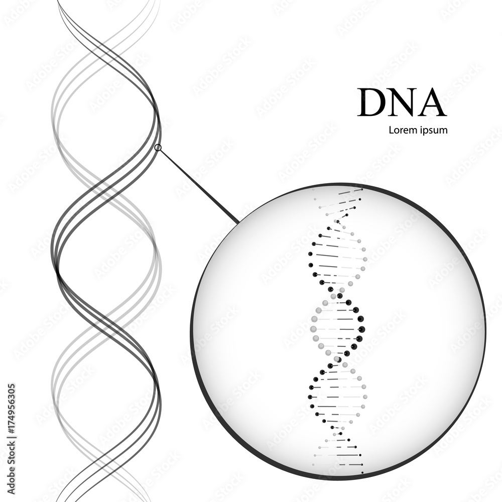 DNA molecules. Vector illustration isolated on white background Stock ...
