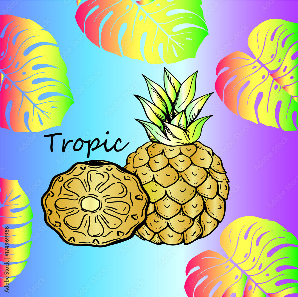 Juicy sweet tropical pineapple and exotic lisya. Tropical background ...