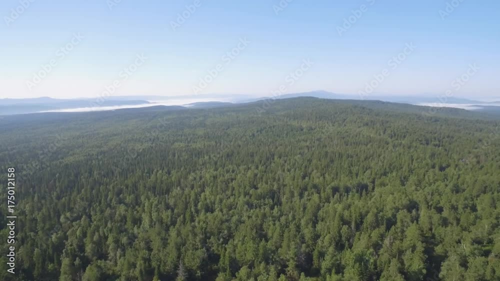 Long distance nature mountain green tree forest landscape, aerial view ...