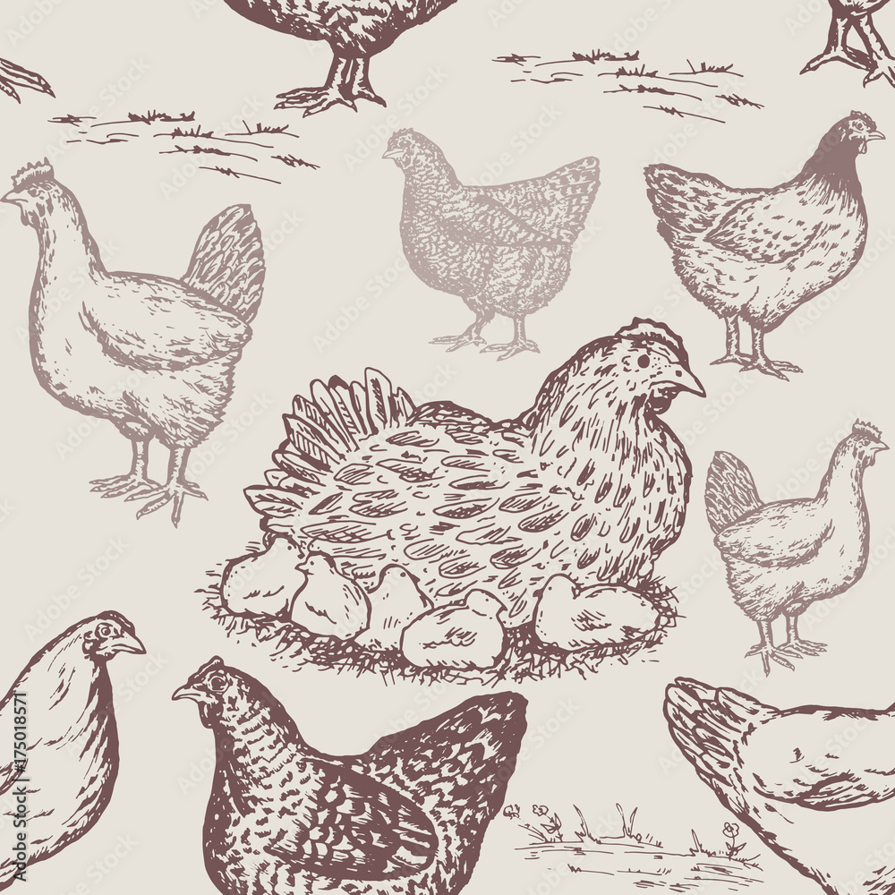 Farm animals pattern. Hand drawn chicken farm seamless pattern in ...