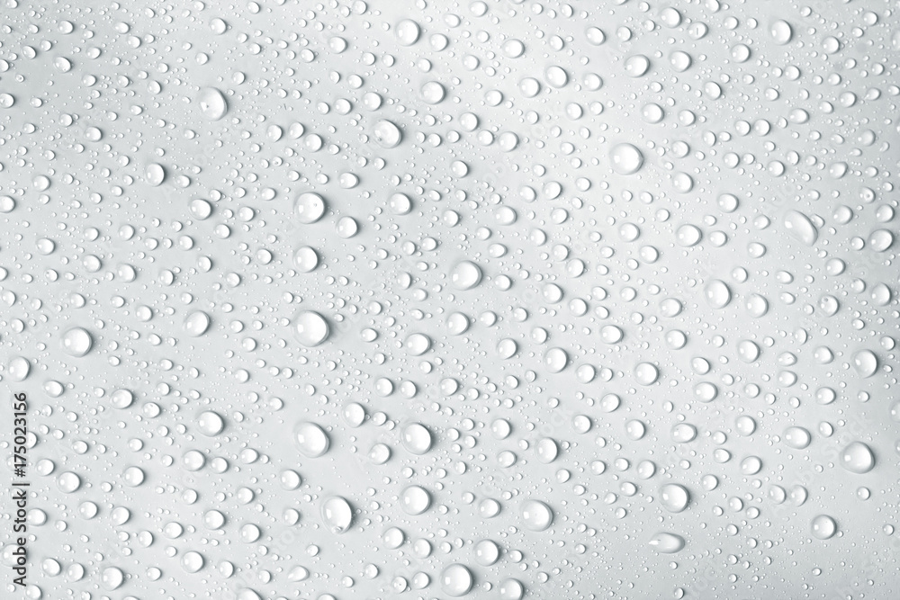 water drop on white background Stock Photo | Adobe Stock