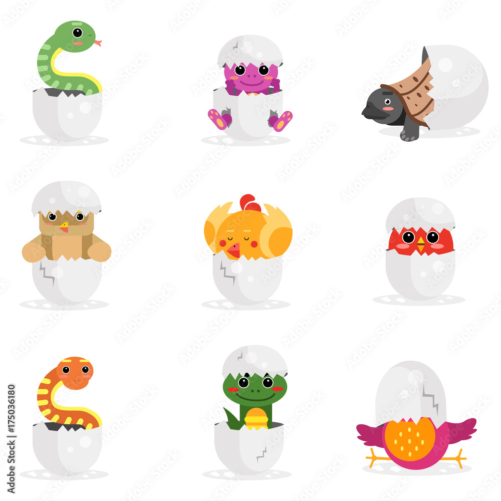 Cute newborn animal characters set, funny reptiles and birds in egg ...