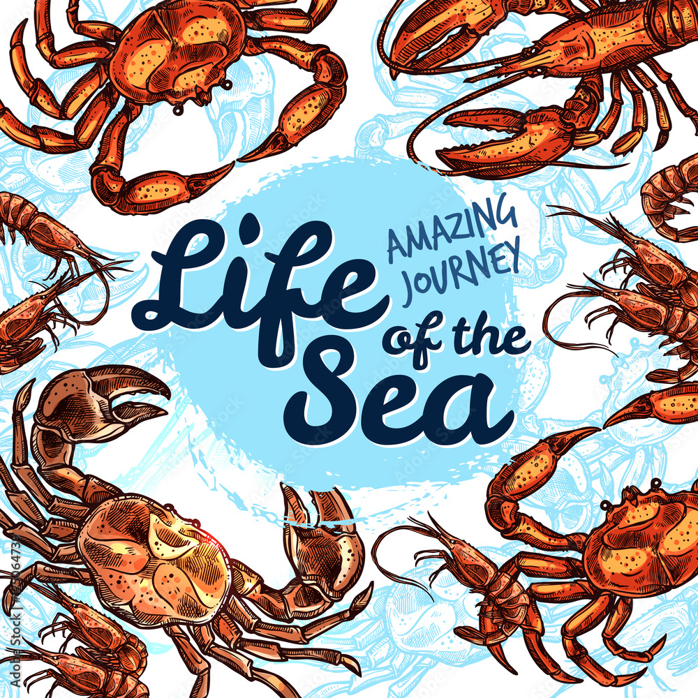 Vector sea life poster of fish sketch ocean animals Stock Vector ...