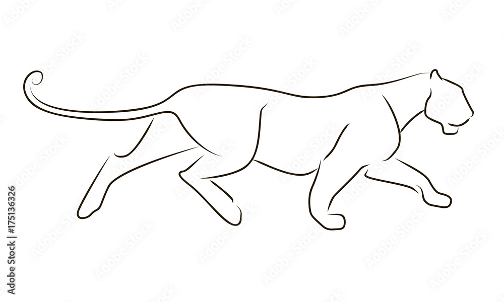 Running black line leopard on white background. Hand drawing vector ...