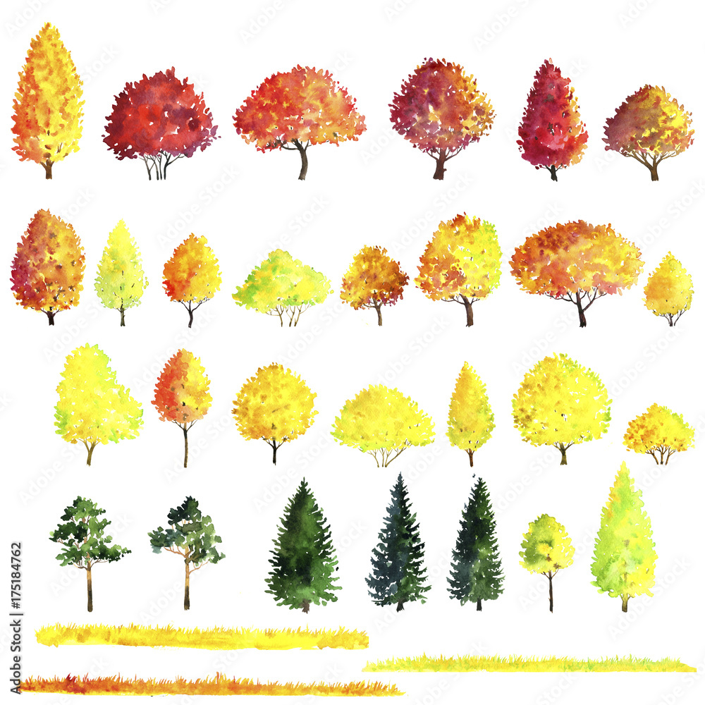 Fall Tree Illustration