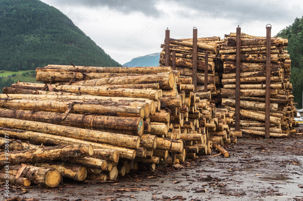 Sawn logs stacked in a pile at the sawmill Stock Photo | Adobe Stock