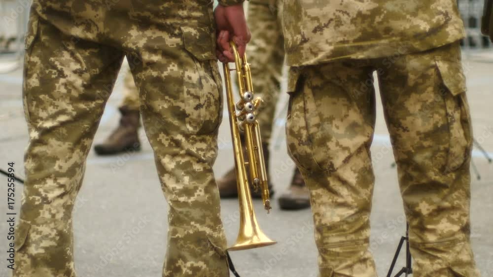 Two military guys with a cornet. Back side view vídeo de Stock | Adobe ...