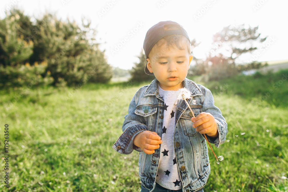 little boy in the nature Stock-Foto | Adobe Stock