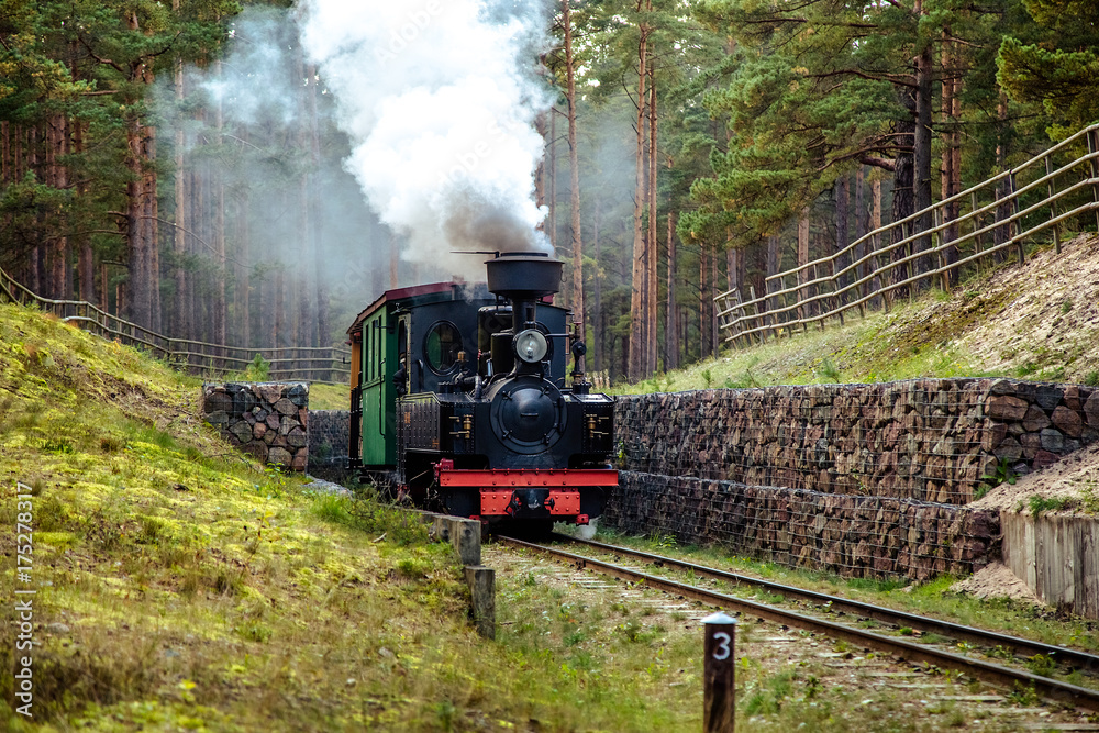 Train on a narrow-gauge railway Stock Photo | Adobe Stock