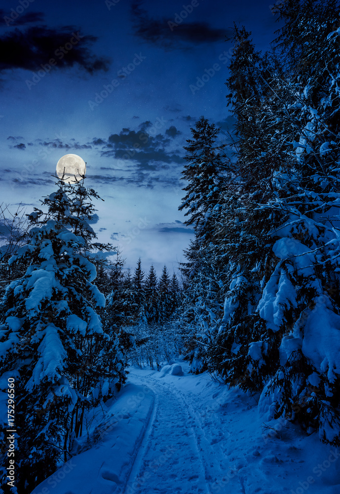 Beautiful Nature Winter At Night