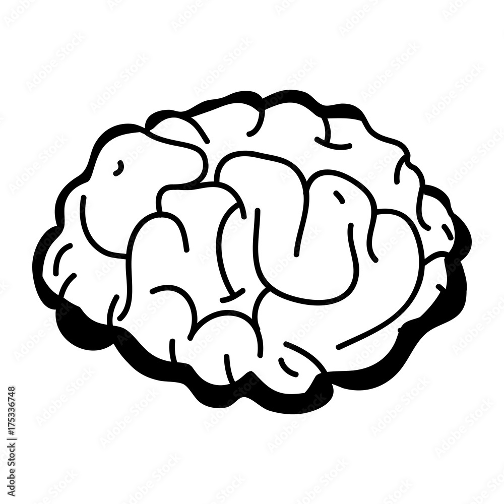 contour human brain anatomy to creative and intellect Stock Vector ...