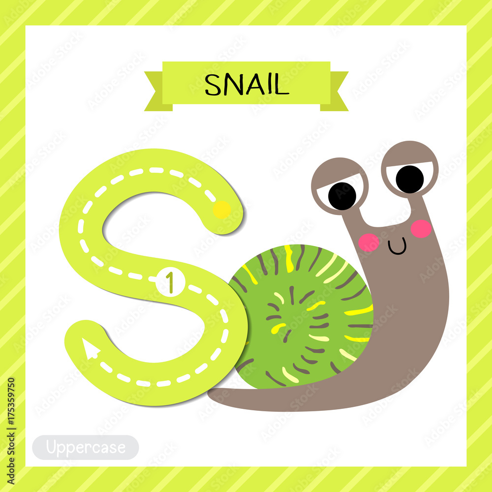 Letter S uppercase cute children colorful zoo and animals ABC alphabet ...