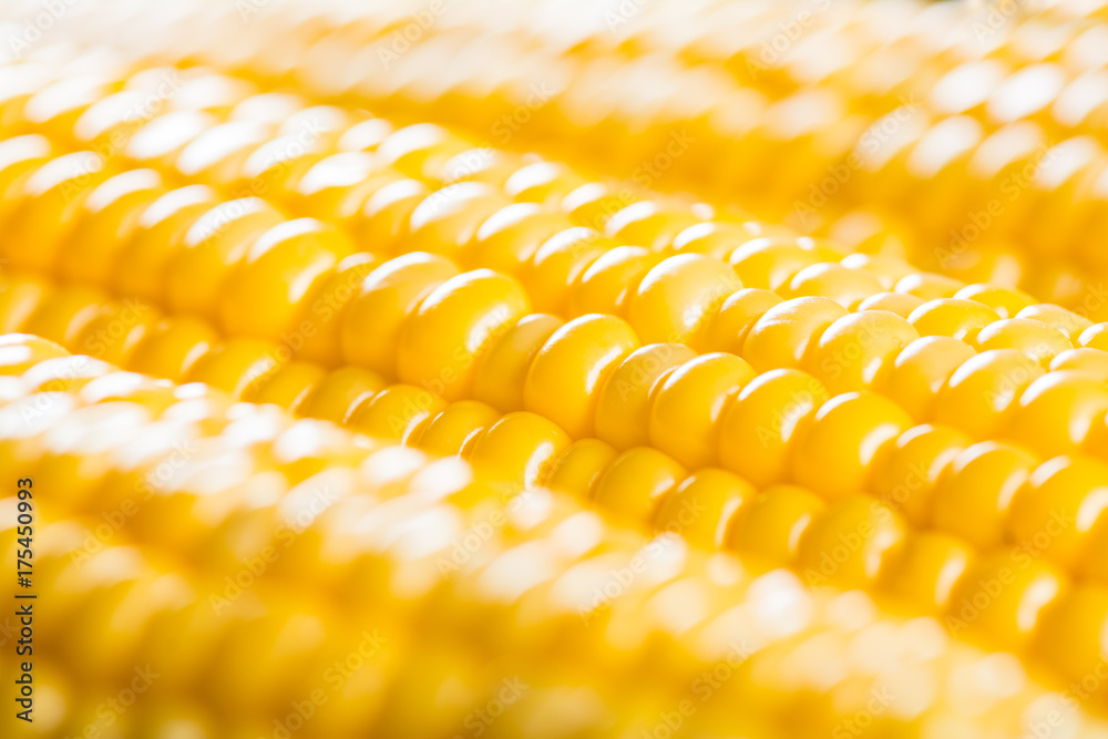 Corn background Stock Photo | Adobe Stock