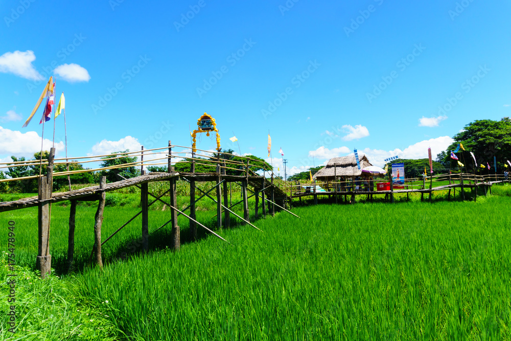 beautiful Rural bamboo bridge across the rice paddy fields with blue ...