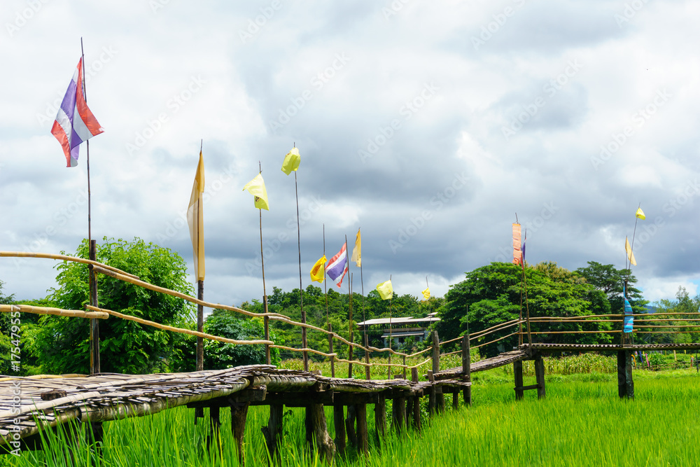 beautiful Rural bamboo bridge across the rice paddy fields with blue ...