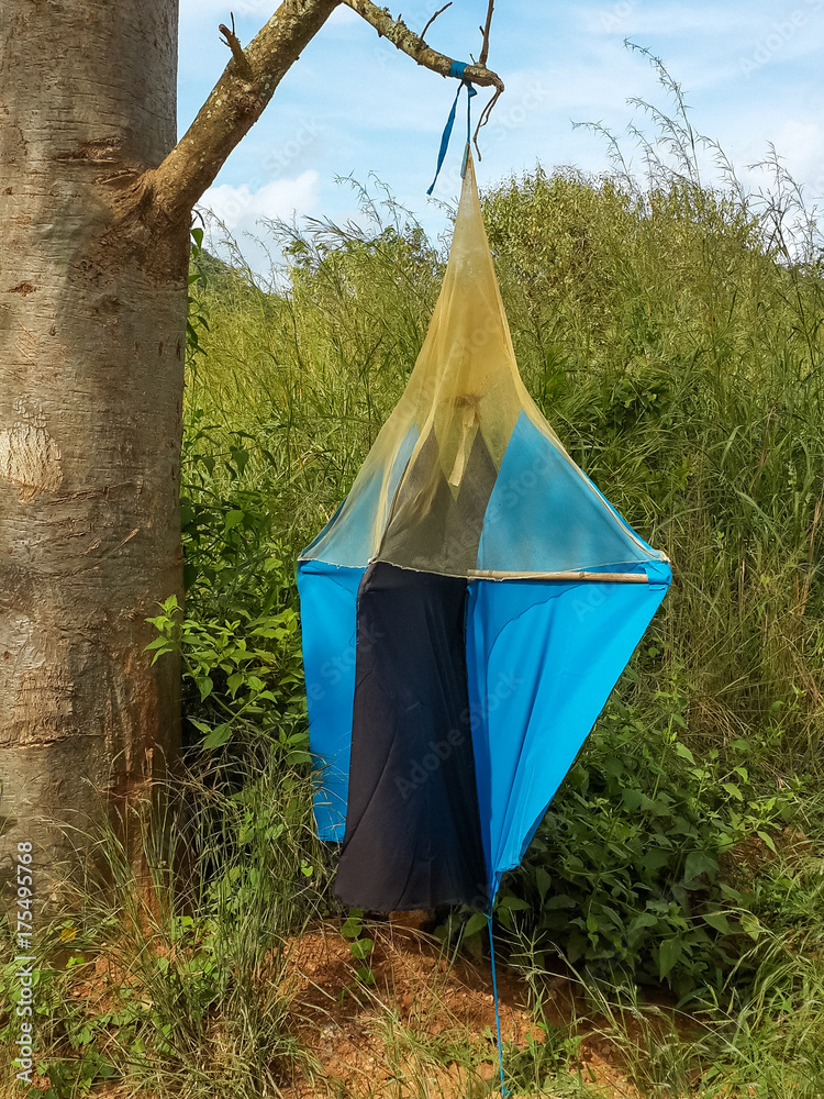 Bright blue trap for dangerous tsetse fly suspended from tree in rural ...