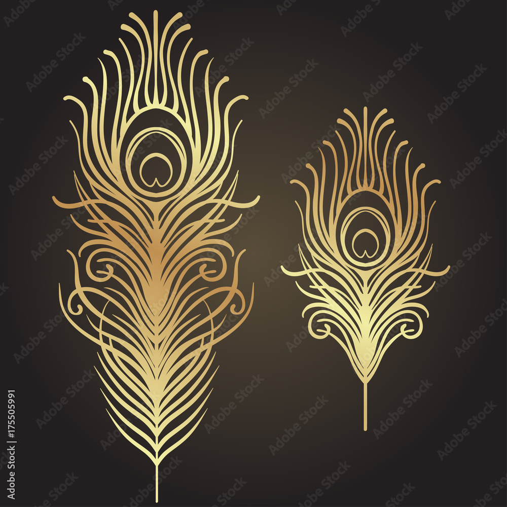 Set of two isolated feathers. Retro hand drawn vector illustration. Art ...