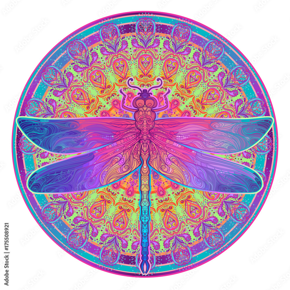 Ornate dragonfly over colorful round mandala pattern. Ethnic patterned ...