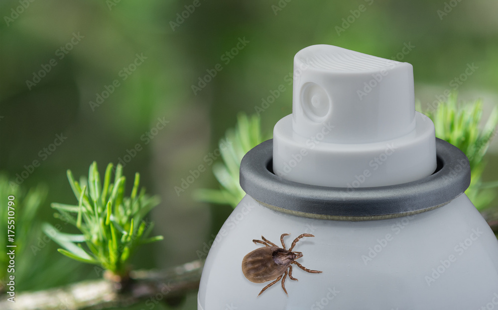 Tick and spray on blurred green background. Detail of the dangerous ...