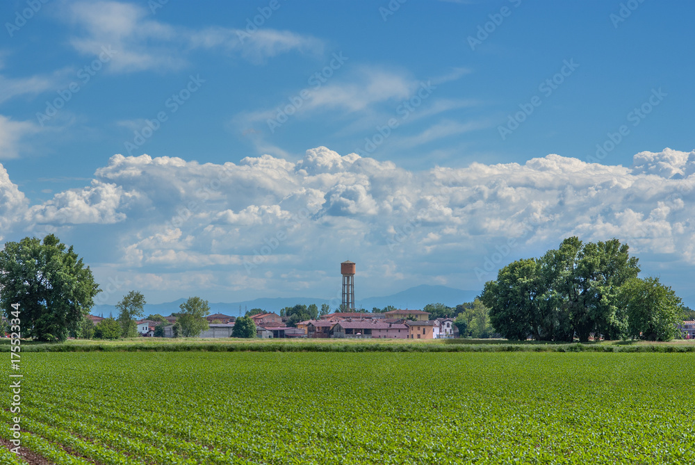 paesaggio di campagna Stock Photo | Adobe Stock