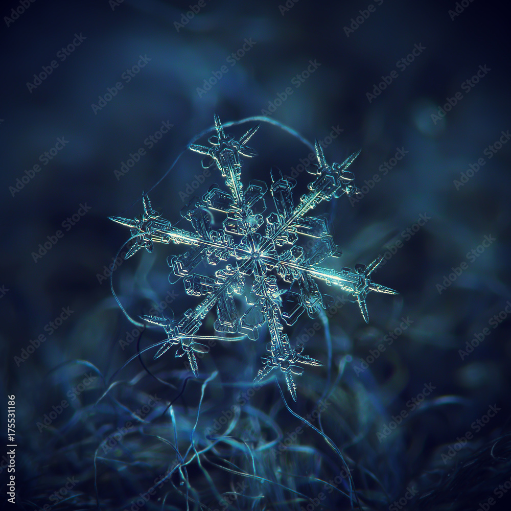 Real snowflake at high magnification. Macro photo of stellar dendrite ...