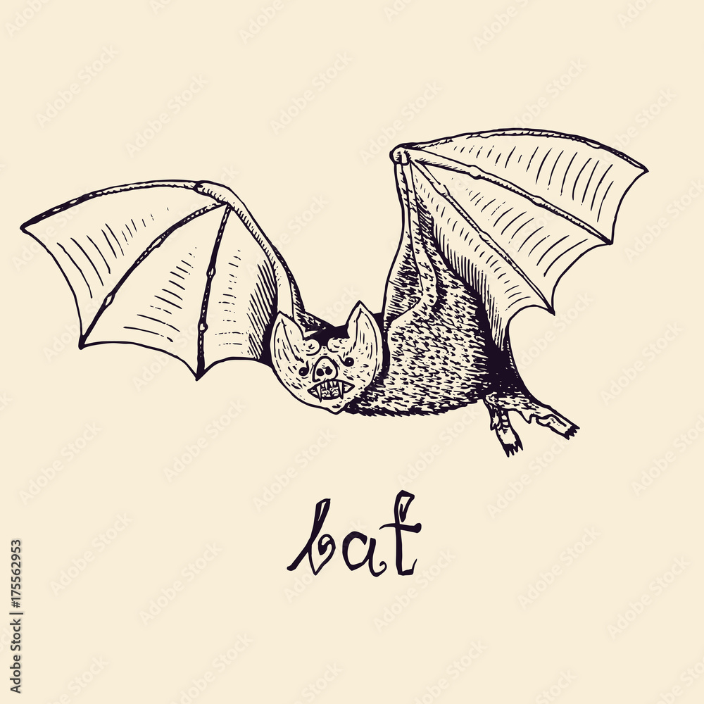 Bat with inscription, woodcut style design, hand drawn doodle, sketch ...