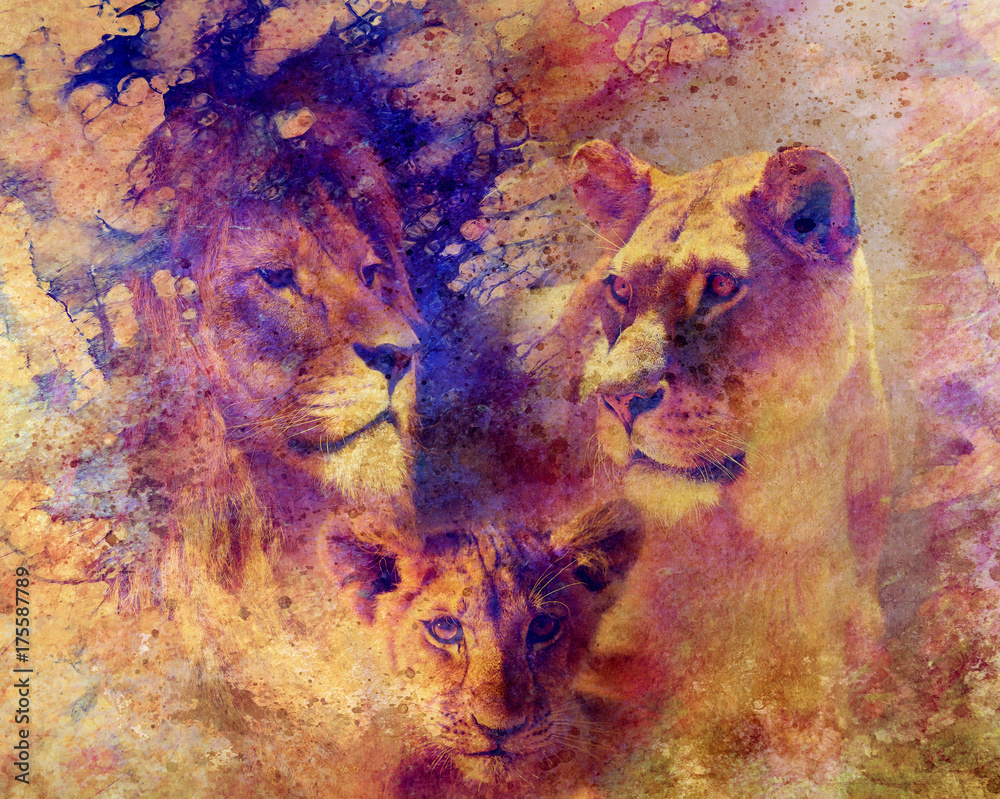 Lion family - lion, lioness and lion cub, on abstract structured ...